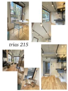 狭小かつオシャレなデザイナーズ物件〜trias215の物件情報〜 | クリエイティブマンションtrias